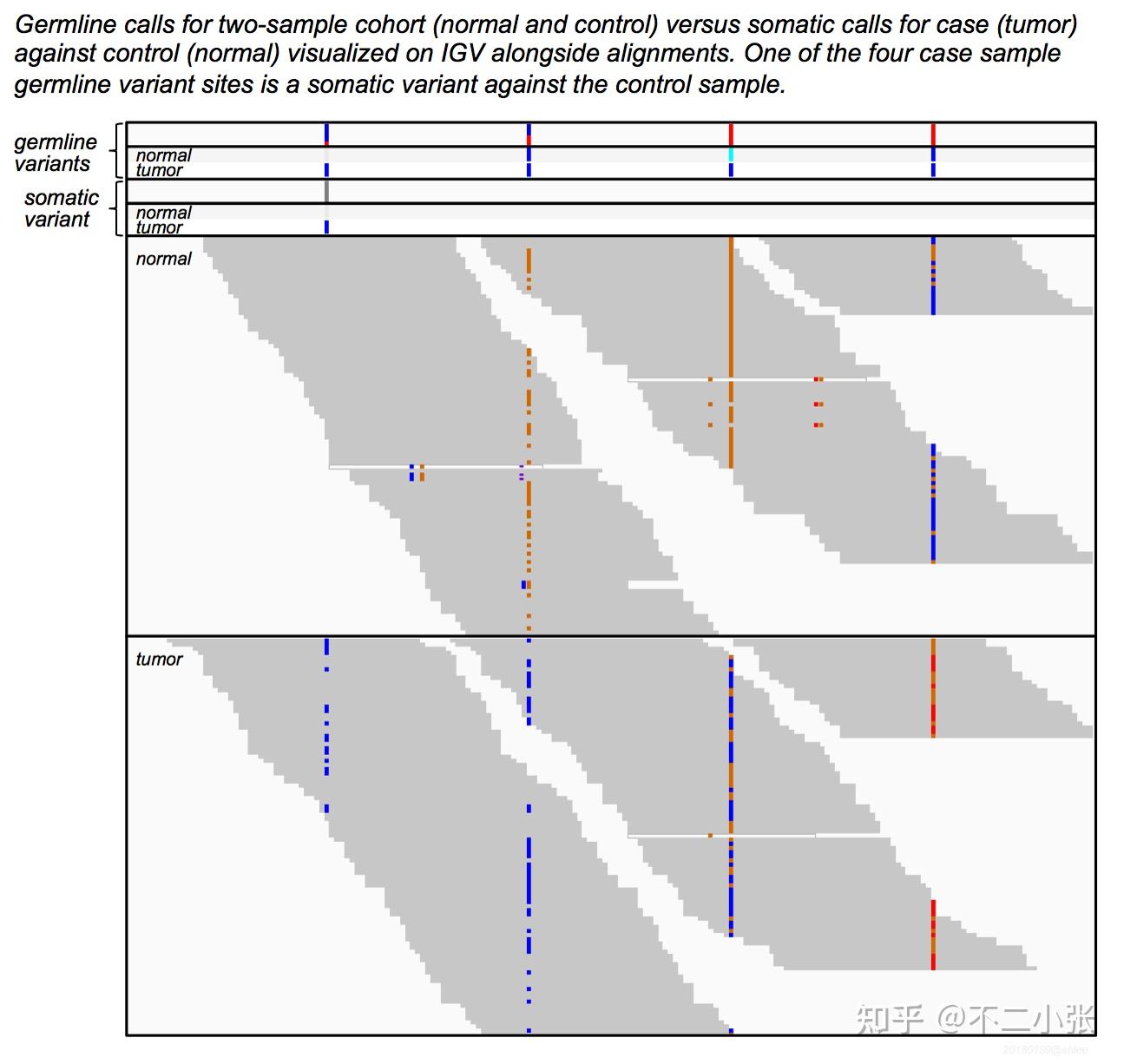 肿瘤全外显子组一般分析策略 - 知乎