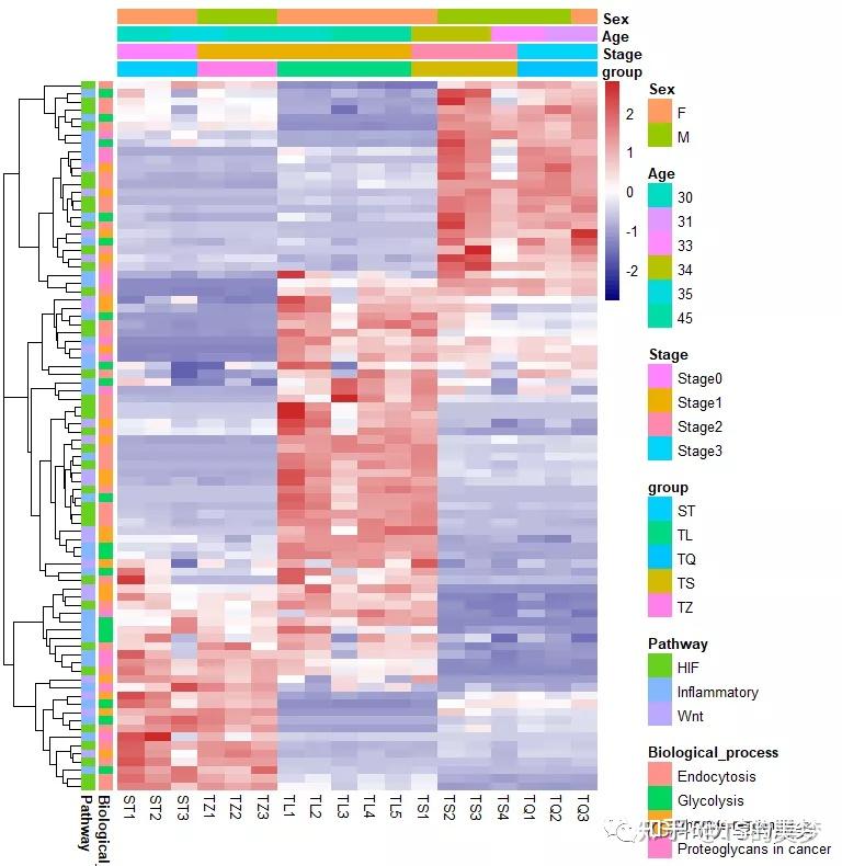 热图3：热图行列分组信息注释 - 知乎