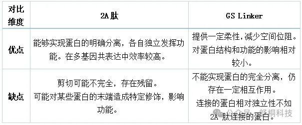 2A 肽与 GS Linker：分子生物学中的蛋白连接关键 - 知乎