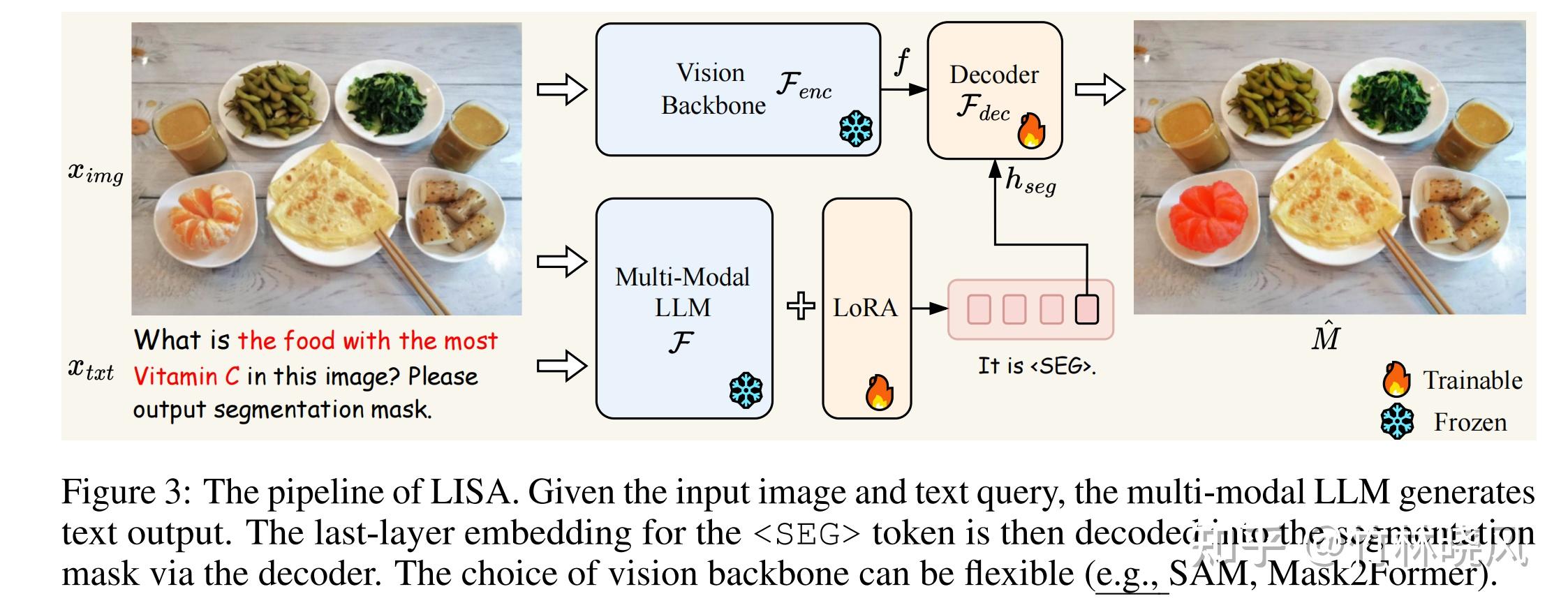 LISA: Reasoning Segmentation via Large Language Model - 知乎