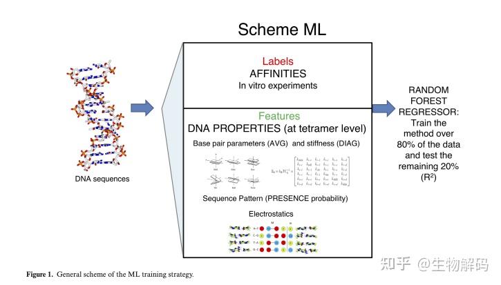 每日文摘 | 2022年09月11日 - 知乎