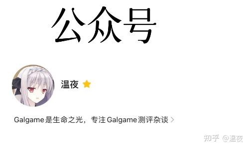 《姉Summer!》：男主被坏女人欺骗，姐姐才是永远的家！ - 知乎