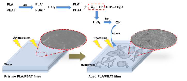 PLA/PBAT共混物在不同条件下的老化：可生物降解塑料的环境问题 - 知乎