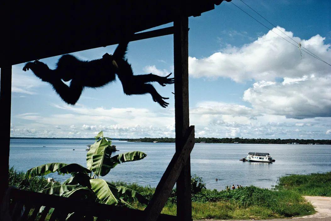 Alex Webb | 全集：99%的街拍照片都是失败的 - 知乎