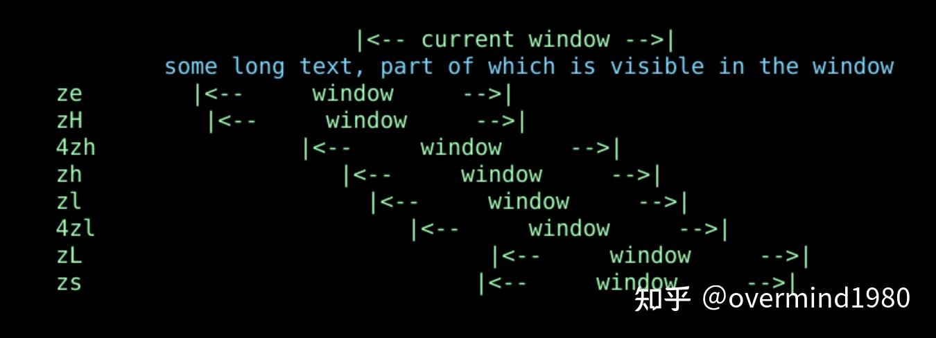 oeasy教您玩转vim - 28 - 水平移动 - 知乎