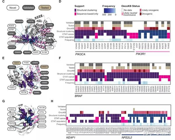 CELL的TCGA数据挖掘有什么不一样？全面驱动基因突变景观拓展你的眼界！（内附图文精讲） - 知乎