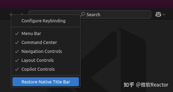 技术速递｜Visual Studio Code 2025年2月更新（v1.98） - 知乎