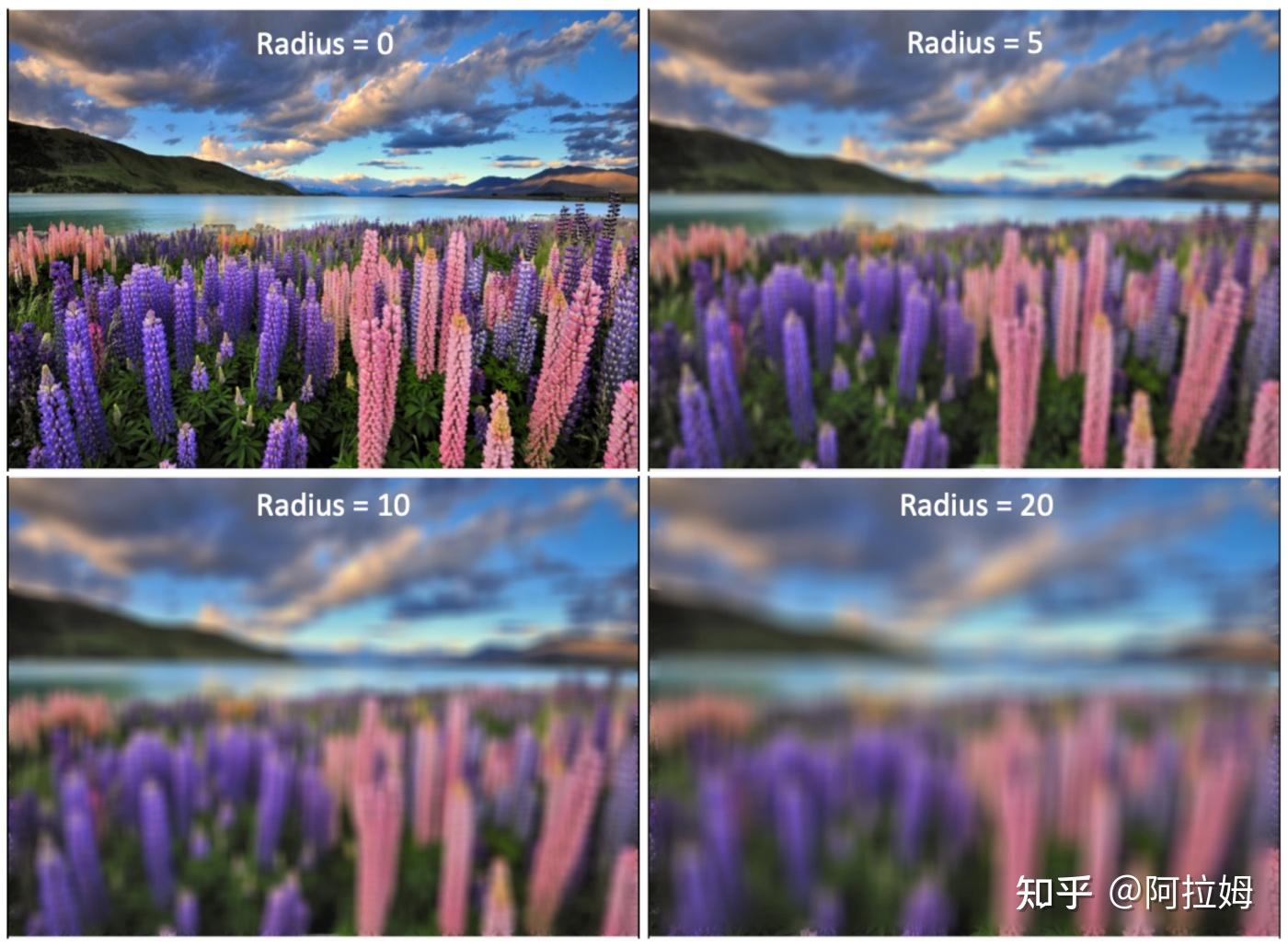 OpenCV:吊打高斯模糊的StackBlur加入 - 知乎