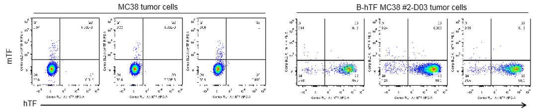 人源化肿瘤细胞系养成记 - 知乎