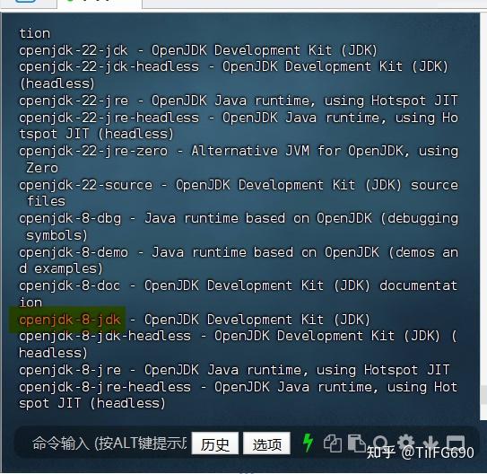 树莓派4b从烧录系统到开设Java版mc服务器保姆级教程 - 知乎