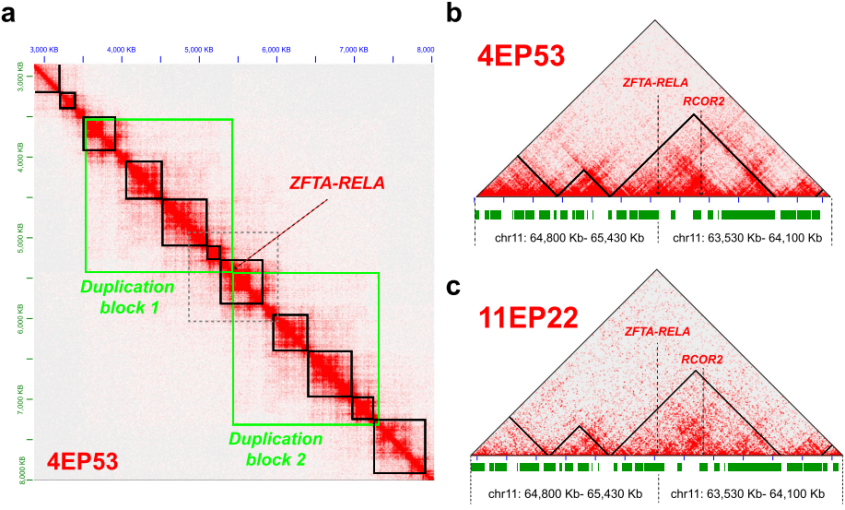 Hi-C检测基因组结构变异及其应用 - 知乎