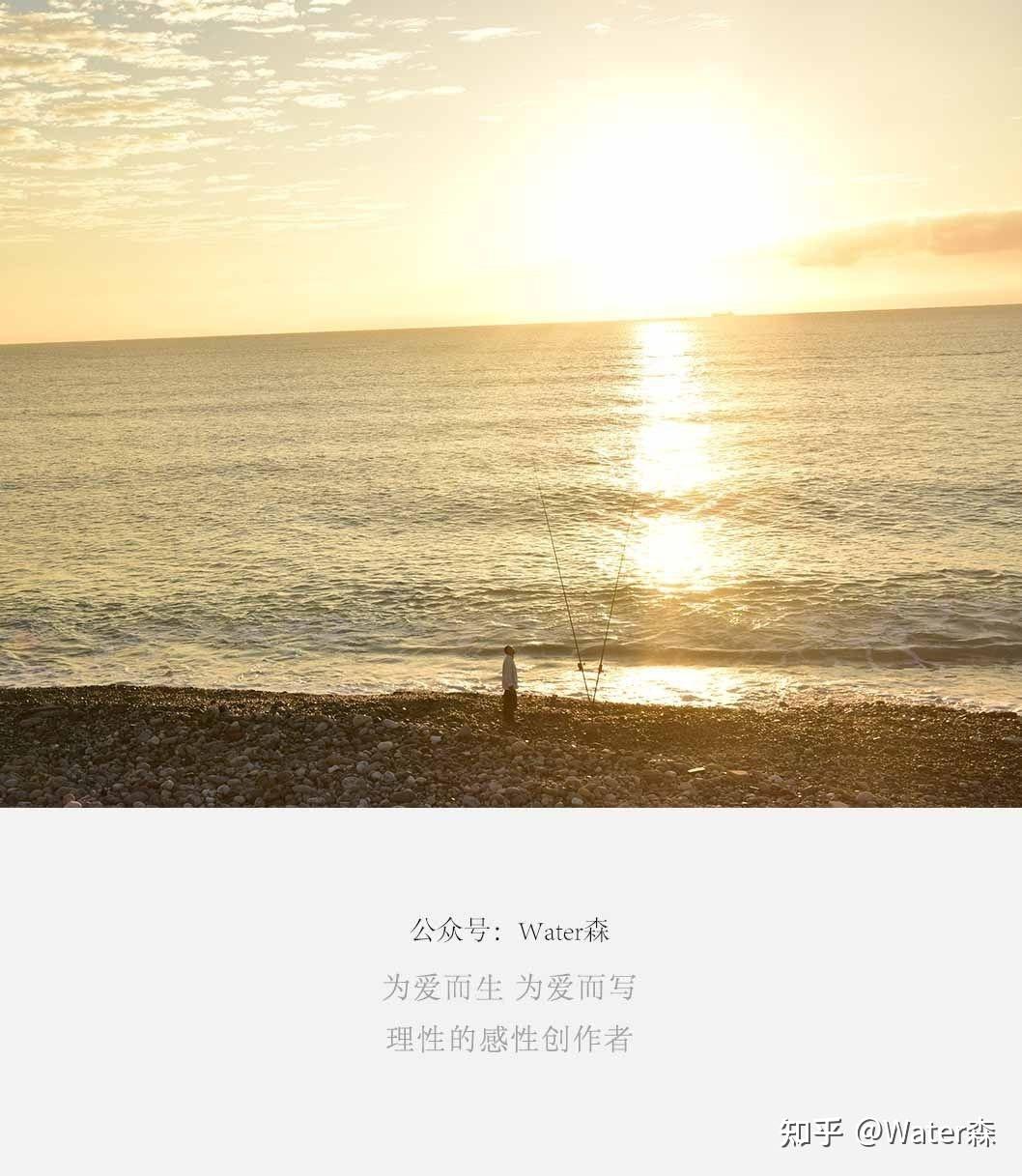 Ti-Fe与Fi-Te八维功能对的差异对比 - 知乎