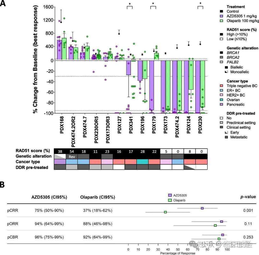 阿斯利康第二代PARP1抑制剂AZD5305联合AZD9833治疗BRCA或PALB2突变的晚期乳腺癌患者 - 知乎