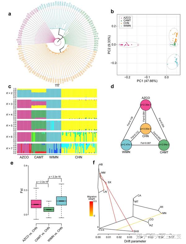 Chromosome-level genome assembly （Dendroctonus valens） - 知乎