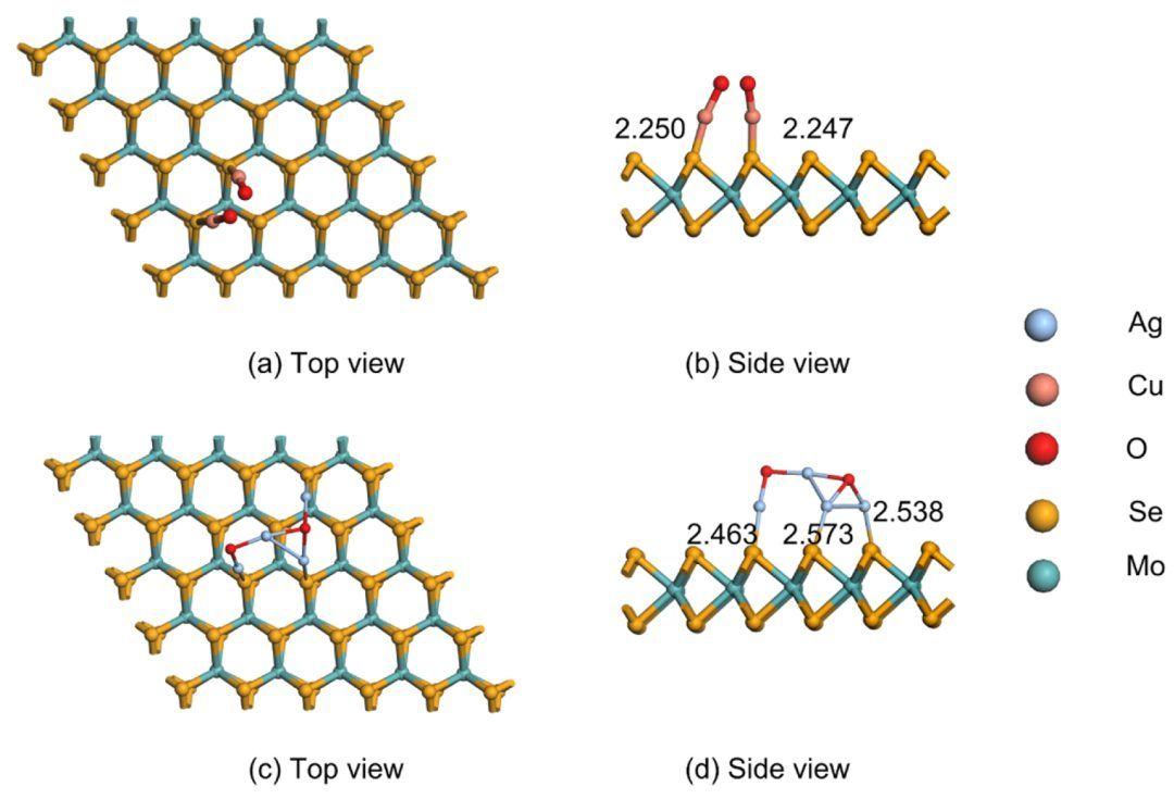 ACS ANM：DFT计算吸附结构、吸附能、电荷转移、能带和态密度等 - 知乎