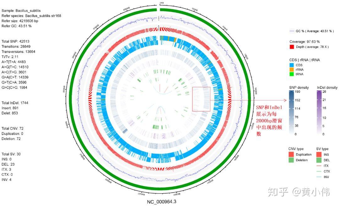 R包circlize绘制特定SNP、InDel位点标识的基因组圈图 - 知乎