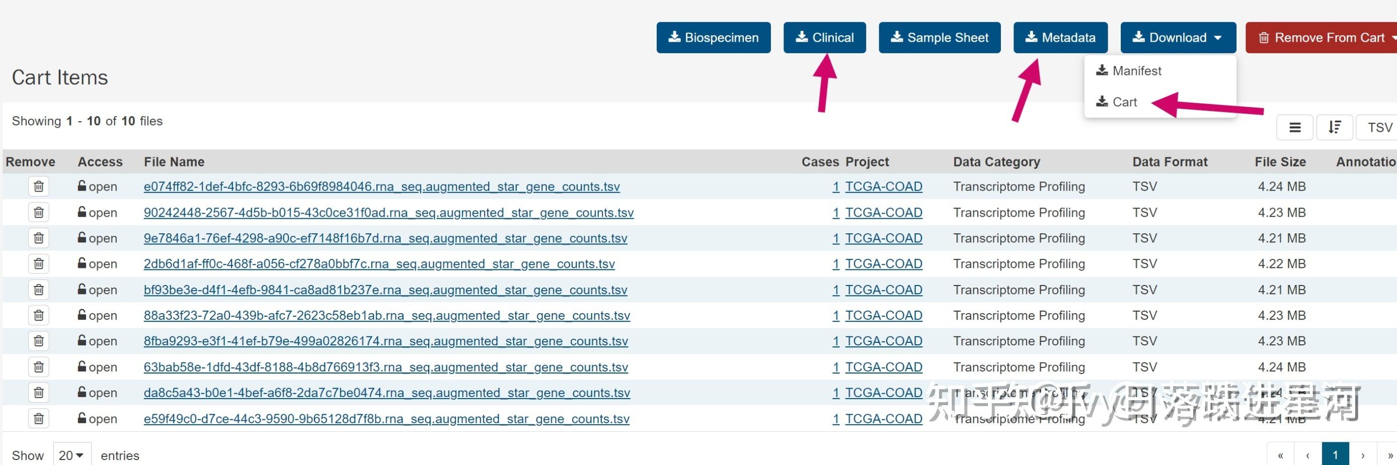 2024年GDC/TCGA临床数据整理 - 知乎