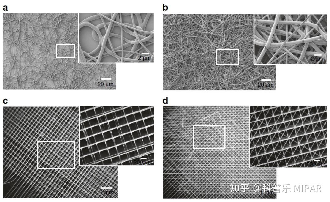 MIPAR图形数据处理：助力MIT发表Nature子刊论文 - 知乎