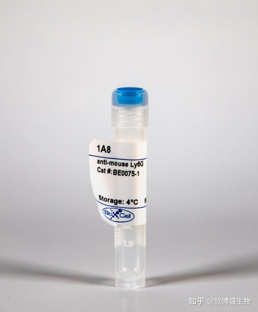 BioXCell代理商欣博盛生物：InVivoMAb anti-mouse Ly6G（Clone 1A8）产品介绍 - 知乎