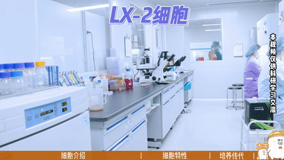 LX-2细胞培养，人肝星形细胞培养攻略 - 知乎