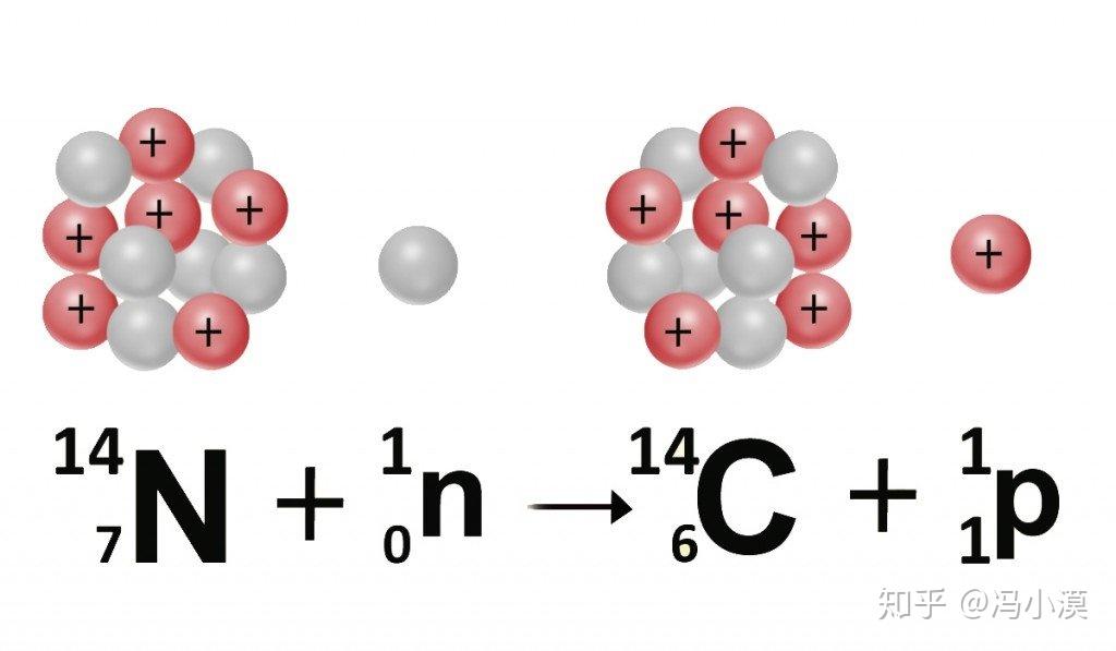 一文看懂“碳十四”如何测定文物年代 - 知乎
