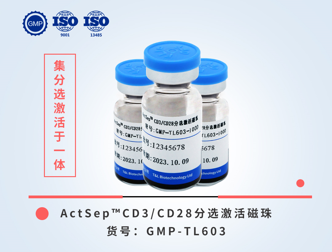 同立海源|ActSep™CD3/CD28分选激活磁珠加速国产替代 - 知乎