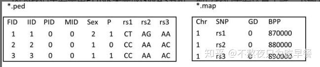 GWAS学习笔记2 ：plink关联分析--完结篇 - 知乎