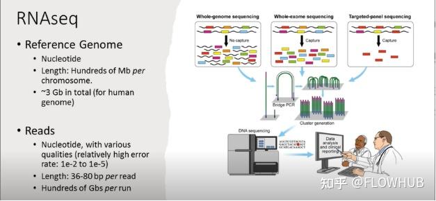 RNA测序数据回贴与组装 （RNA-Seq Mapping& Assembling） - 知乎