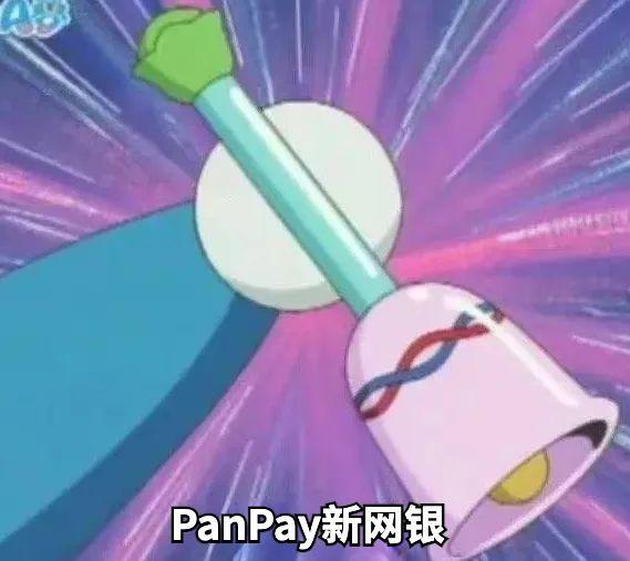 重磅来袭 | 泛付PanPay全新网银上线，这些亮点可别错过！ - 知乎