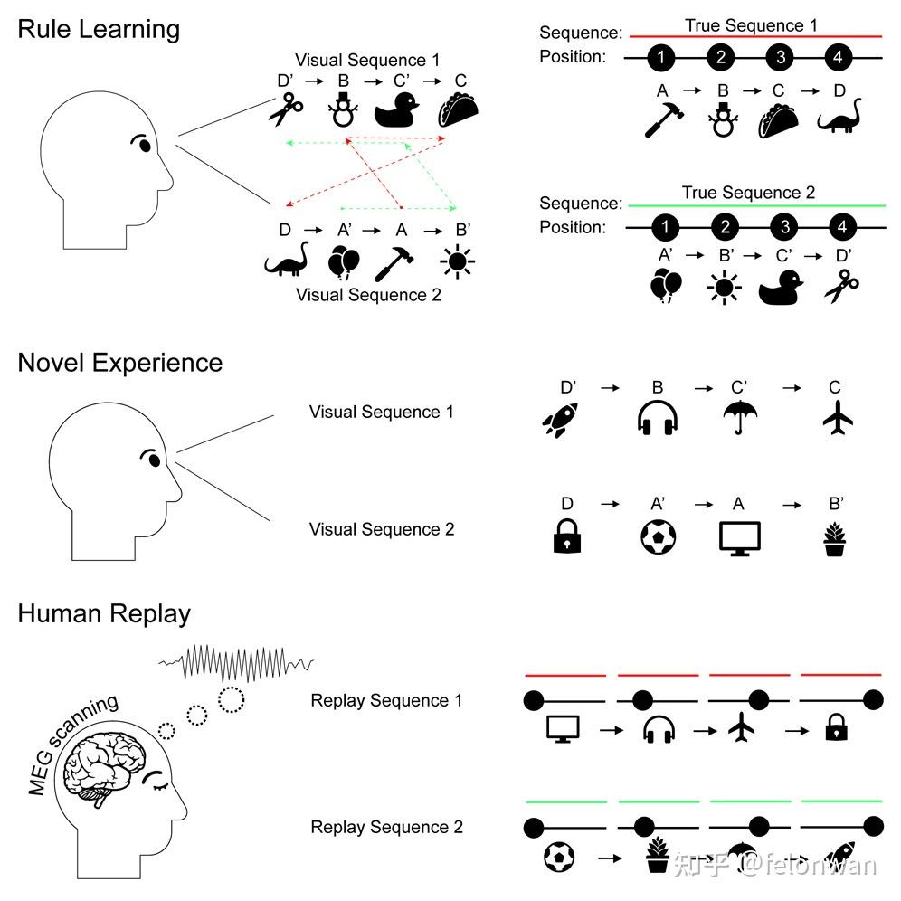 记忆的replay机制的一些相关研究 - 知乎