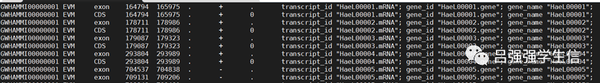 GFF/GTF简介及格式转换 - 知乎
