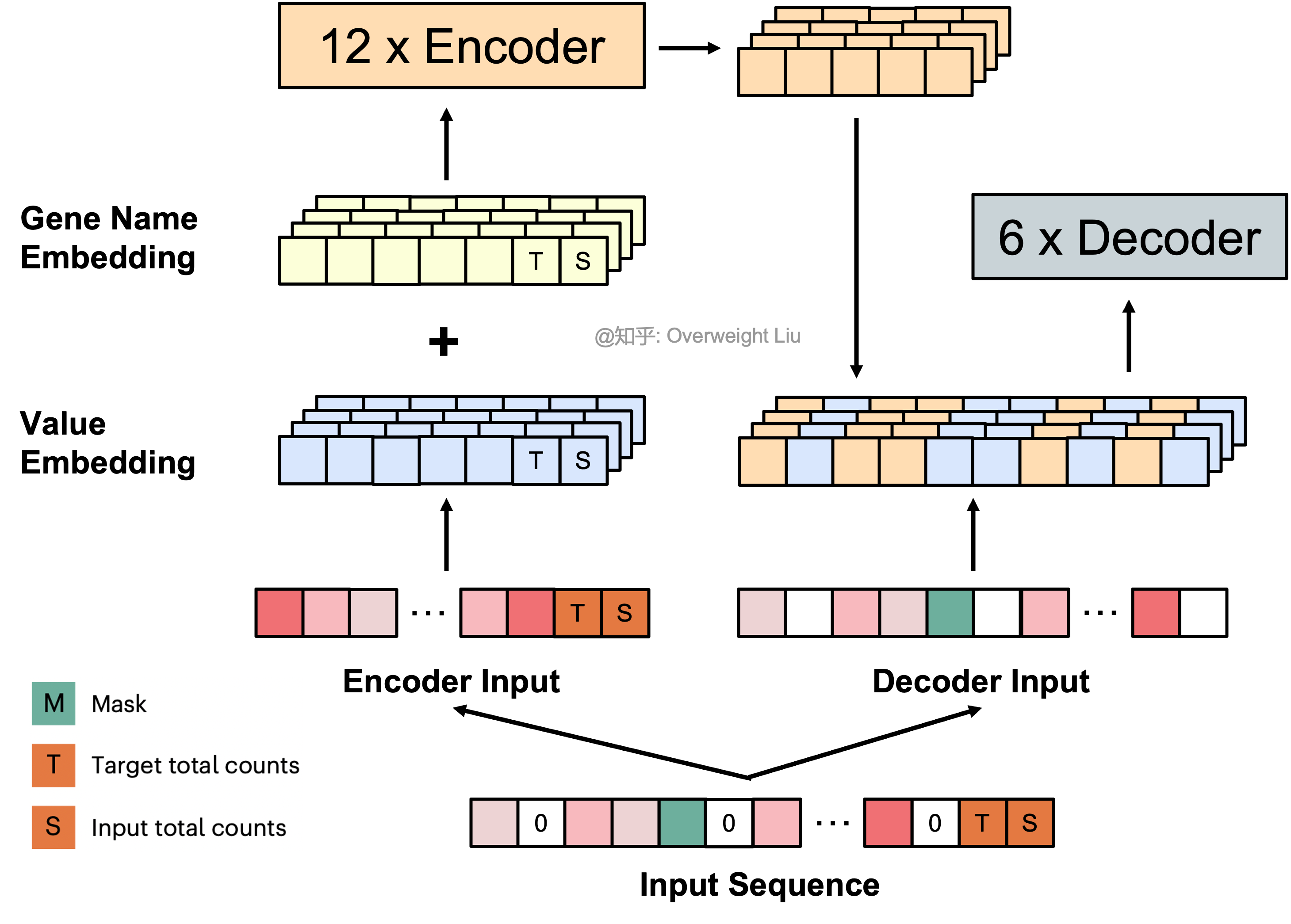 (八) scFoundation | Read-Depth-Aware 的 scRNA-seq 预训练基座模型 - 知乎