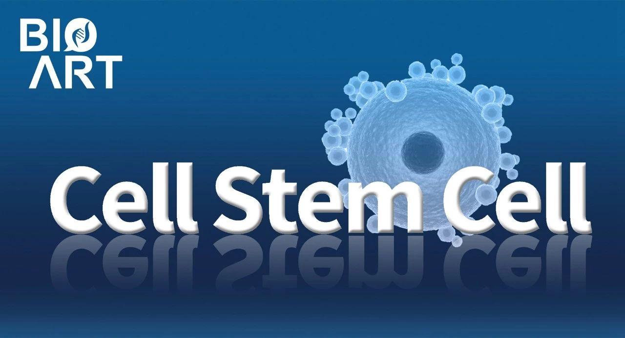 Cell Stem Cell | 关于中国的胚胎和干细胞研究的伦理与政策思考 - 知乎