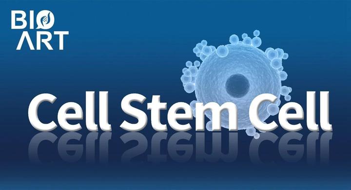 Cell Stem Cell | 关于中国的胚胎和干细胞研究的伦理与政策思考 - 知乎