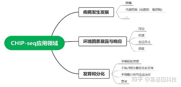 ChIP-seq应用领域、研究思路、数据挖掘、下游实验、实验关键 | 易讲堂 - 知乎