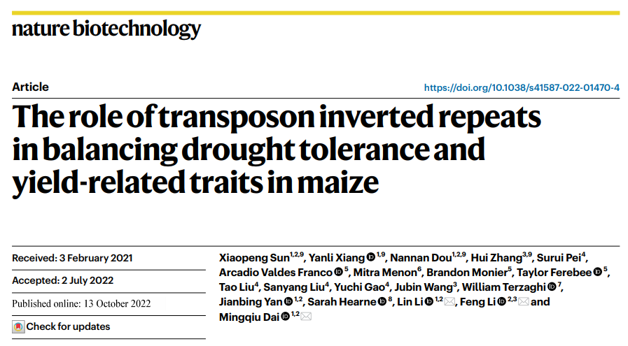 Nature Biotech | 华中农业大学代明球课题组联合李峰、李林课题组揭示玉米抗旱性与产量平衡的关键遗传调控机制 - 知乎
