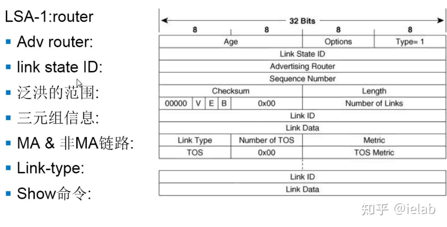 什么是一类LSA，OSPF中如何查看和了解一类LSA - 知乎