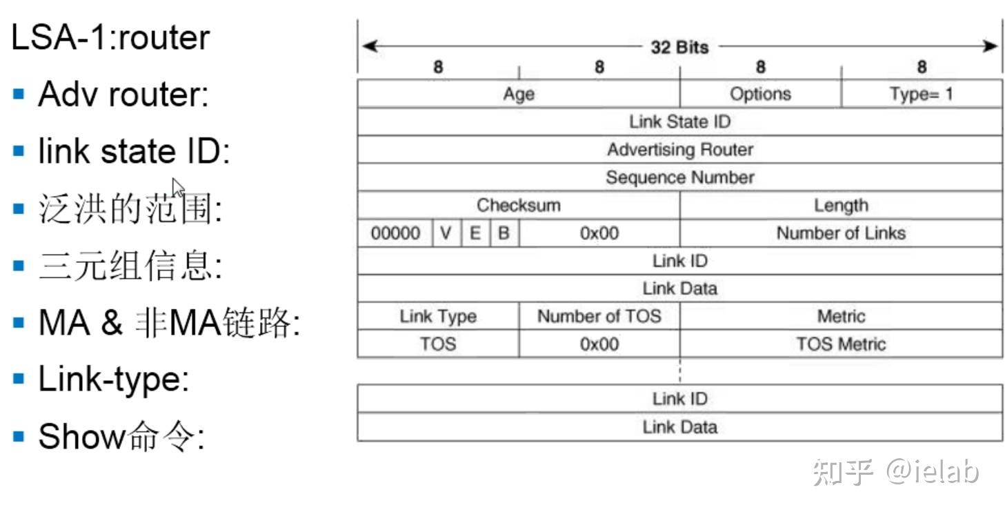 什么是一类LSA，OSPF中如何查看和了解一类LSA - 知乎