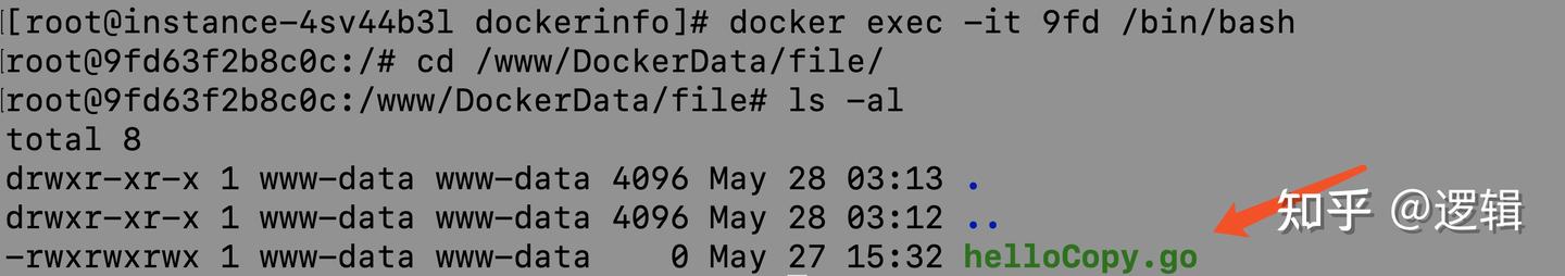 Docker-Dockerfile指令最全案例详解 COPY & ADD【中】(7) - 知乎