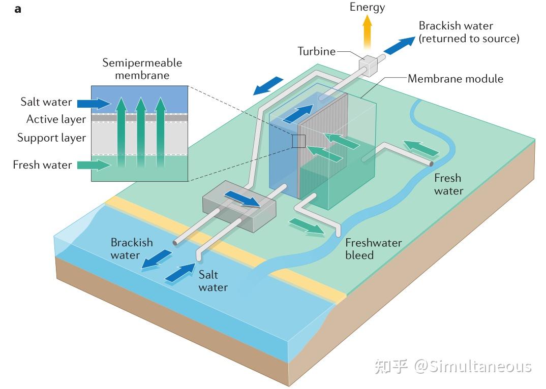 Osmotic energy conversion power plant 渗透能转换发电 双语 - 知乎