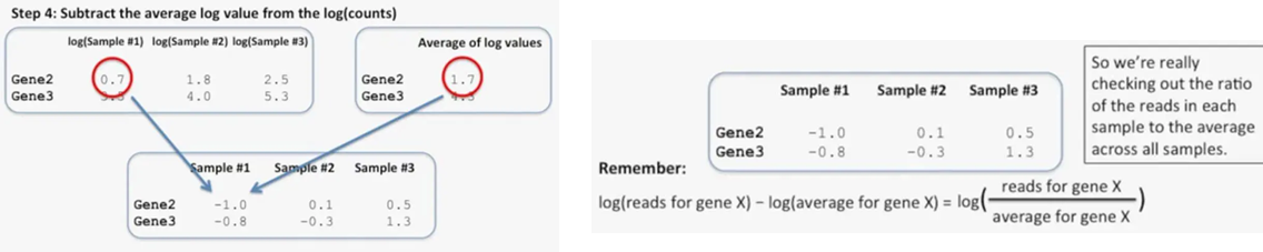 一文详解 DEseq2 差异分析原理和实践 - 知乎