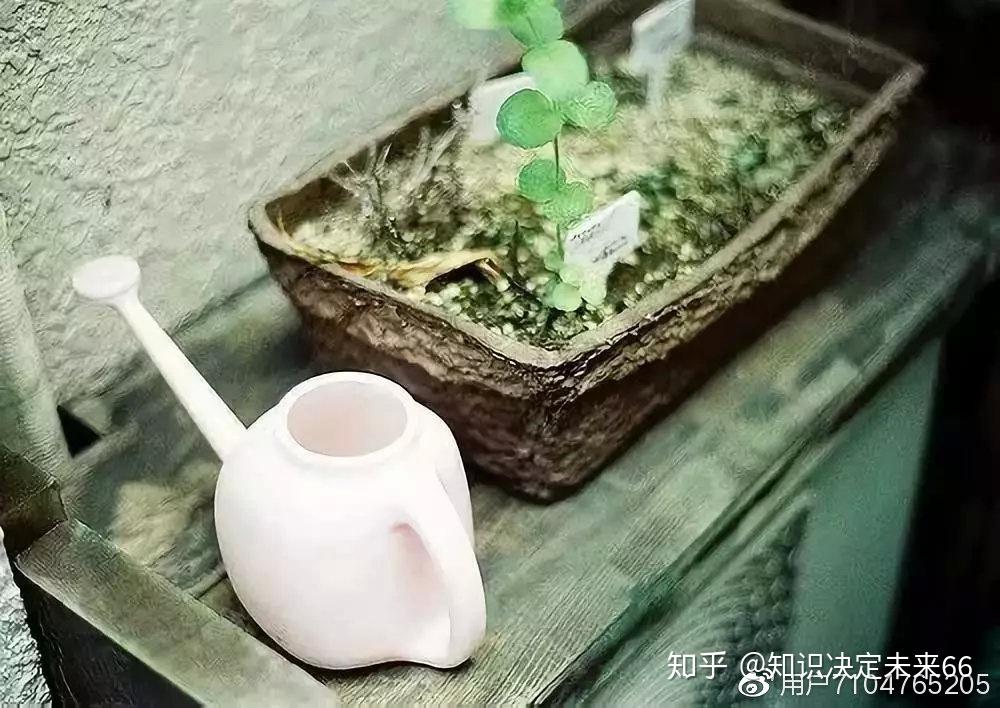 年过40，谁都靠不住，除非你有用 知乎
