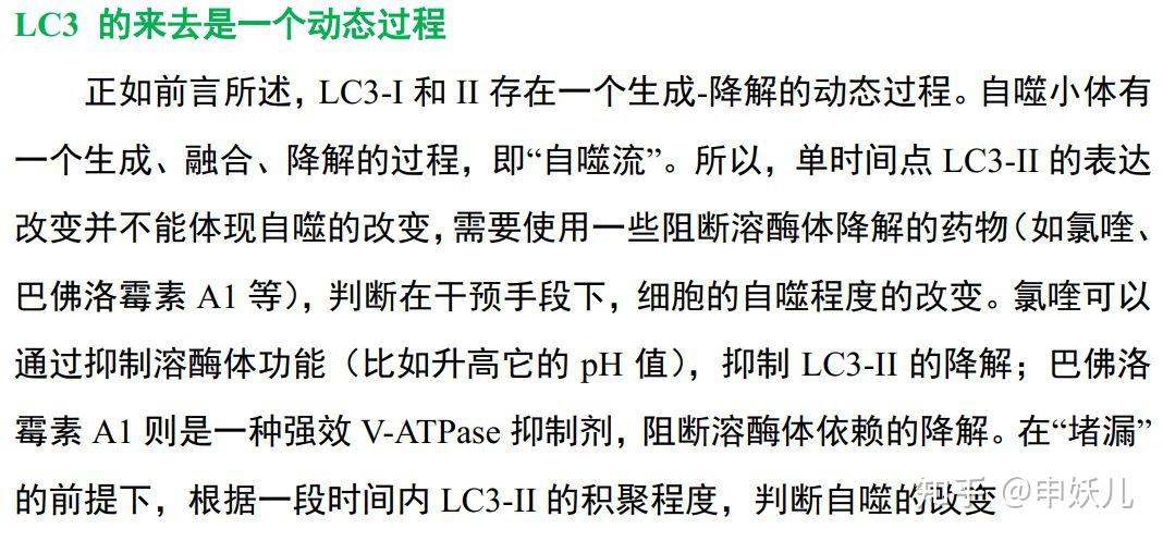 实验技巧 | 官方“自噬”实验操作指南之WB检测LC3 - 知乎