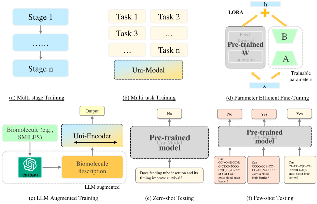 AI4Science与LLM的碰撞：生物分子+文本的联合建模，人大高瓴、微软、华科、中科大团队最新综述 - 知乎