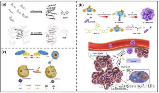 《AHM》综述：药物自给药系统--分子设计、构建策略及生物应用 - 知乎
