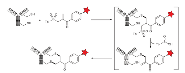 ADC的偶联技术 - 知乎
