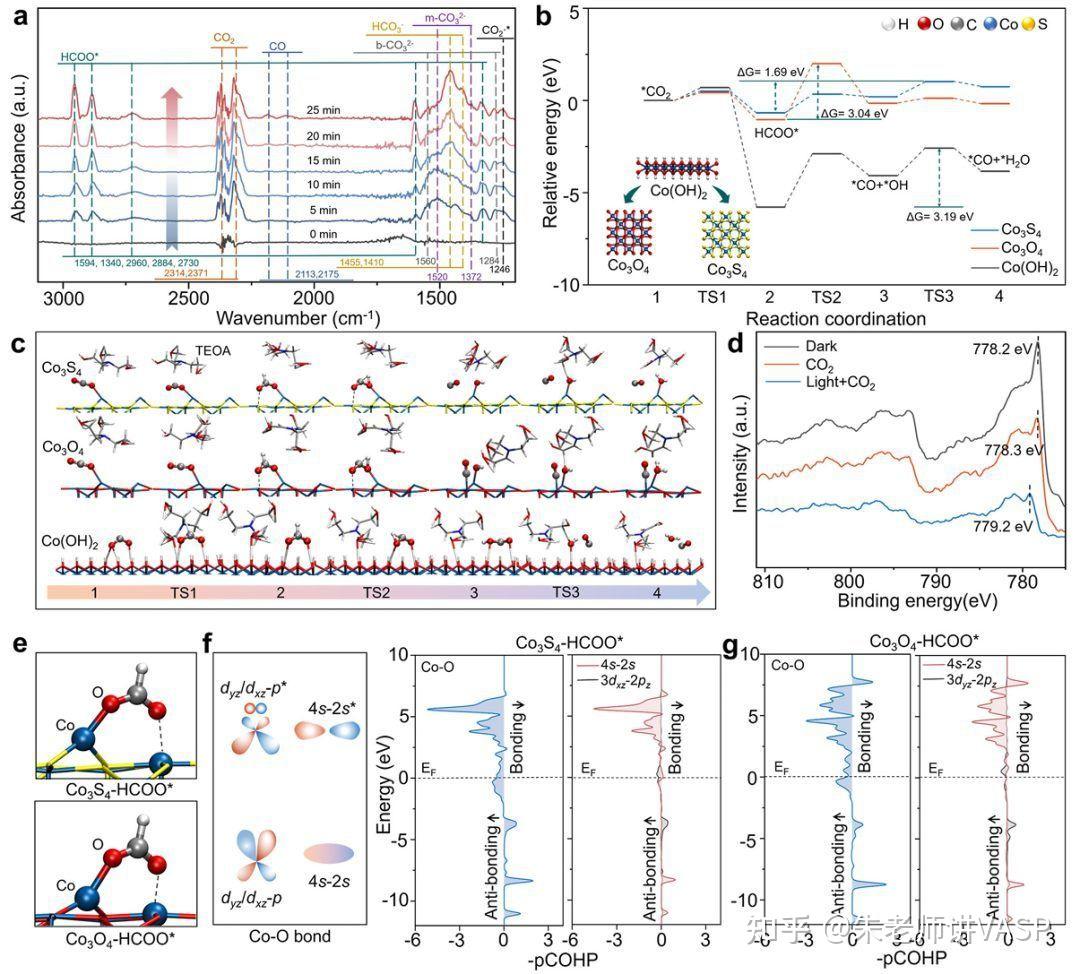 曾问鼎校史首篇Science！985院长，新发Nature子刊！CO₂还原！ - 知乎