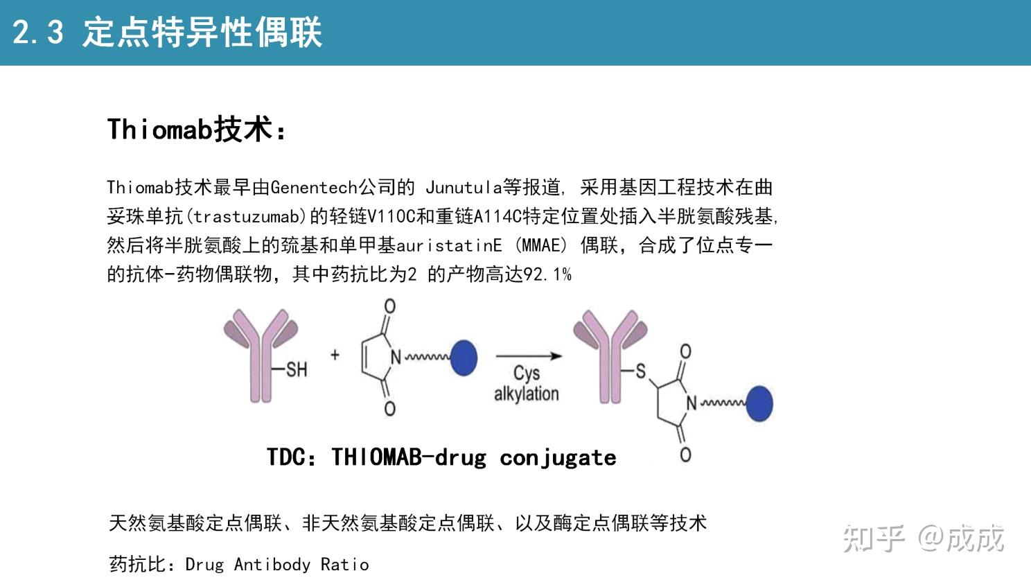 双载荷ADC的构建思路| Antibody-drug conjugates with dual payloads - 知乎