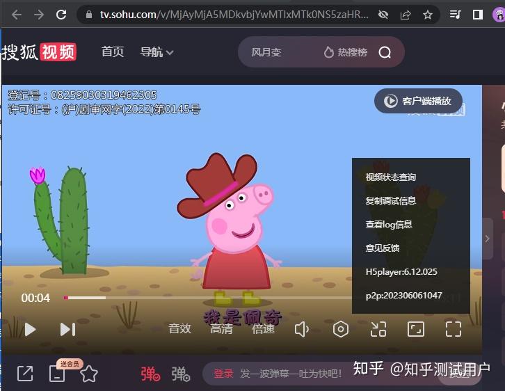 如何下载搜狐SOHU视频 - 知乎