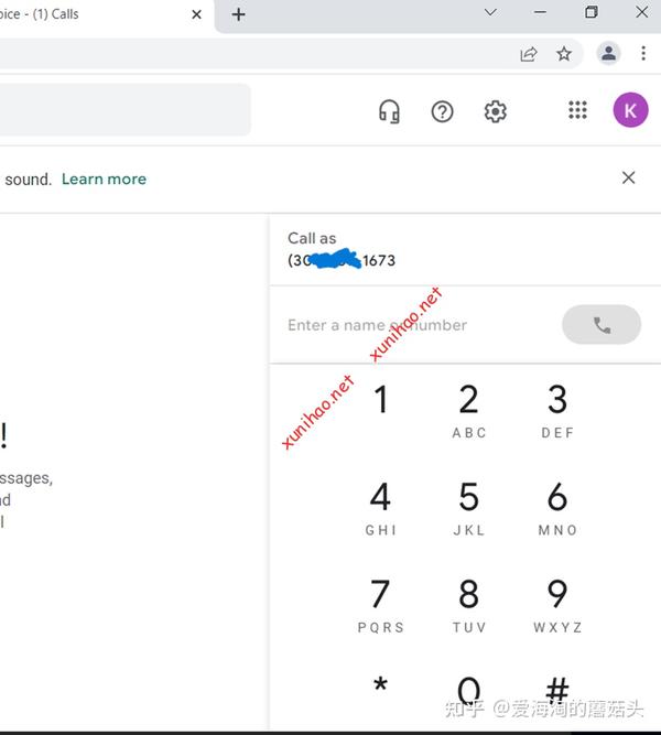 2022 google Voice 2022-google-voice